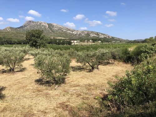 Excursion/Balade Benslimane, Randonnées Benslimane - Dar Lalla el aliya